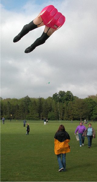 Boop Team Kites